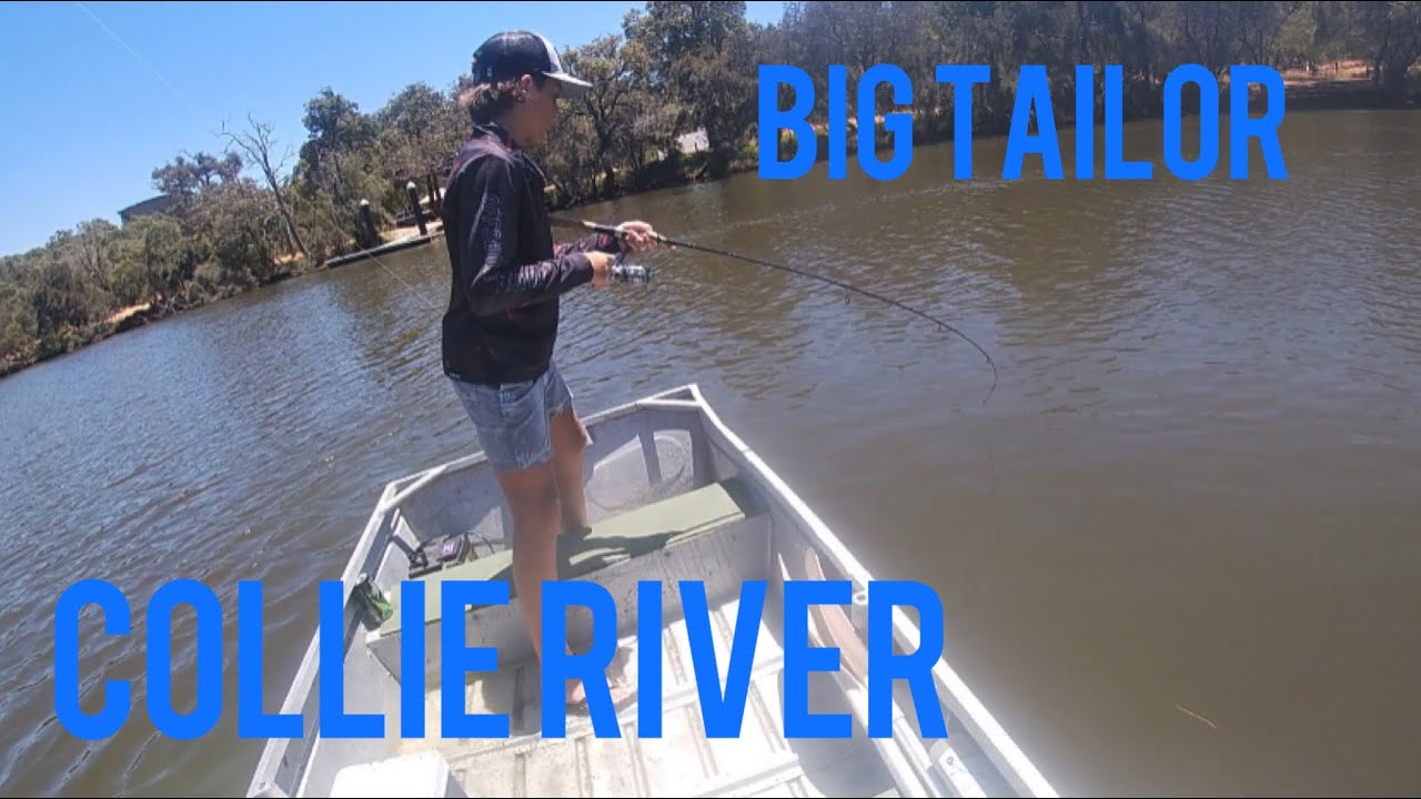 Tailor fishing in collie river with my boat vessel and mate will - YouTube