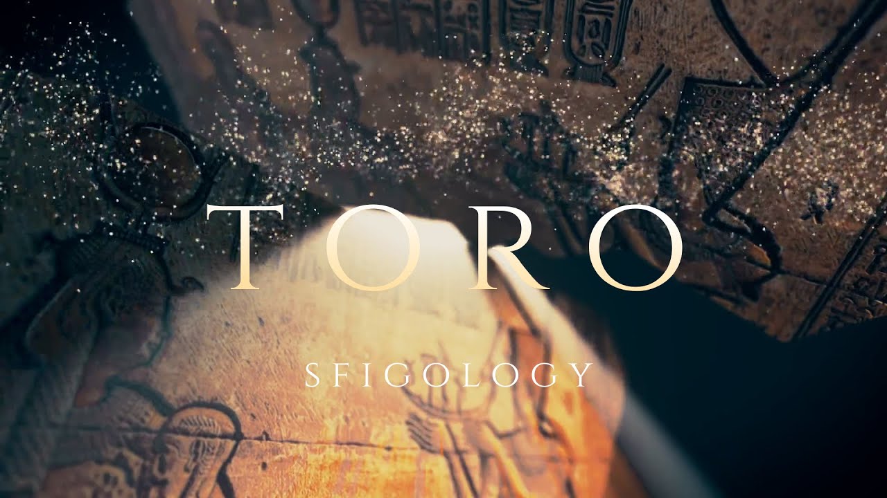 TORO SFIGOLOGY - YouTube