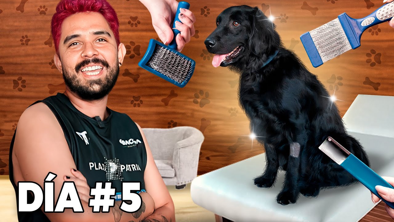DÍA DE SPA Y MASAJES PARA MI PERRITA | EPISODIO 5 DE 10 - YouTube