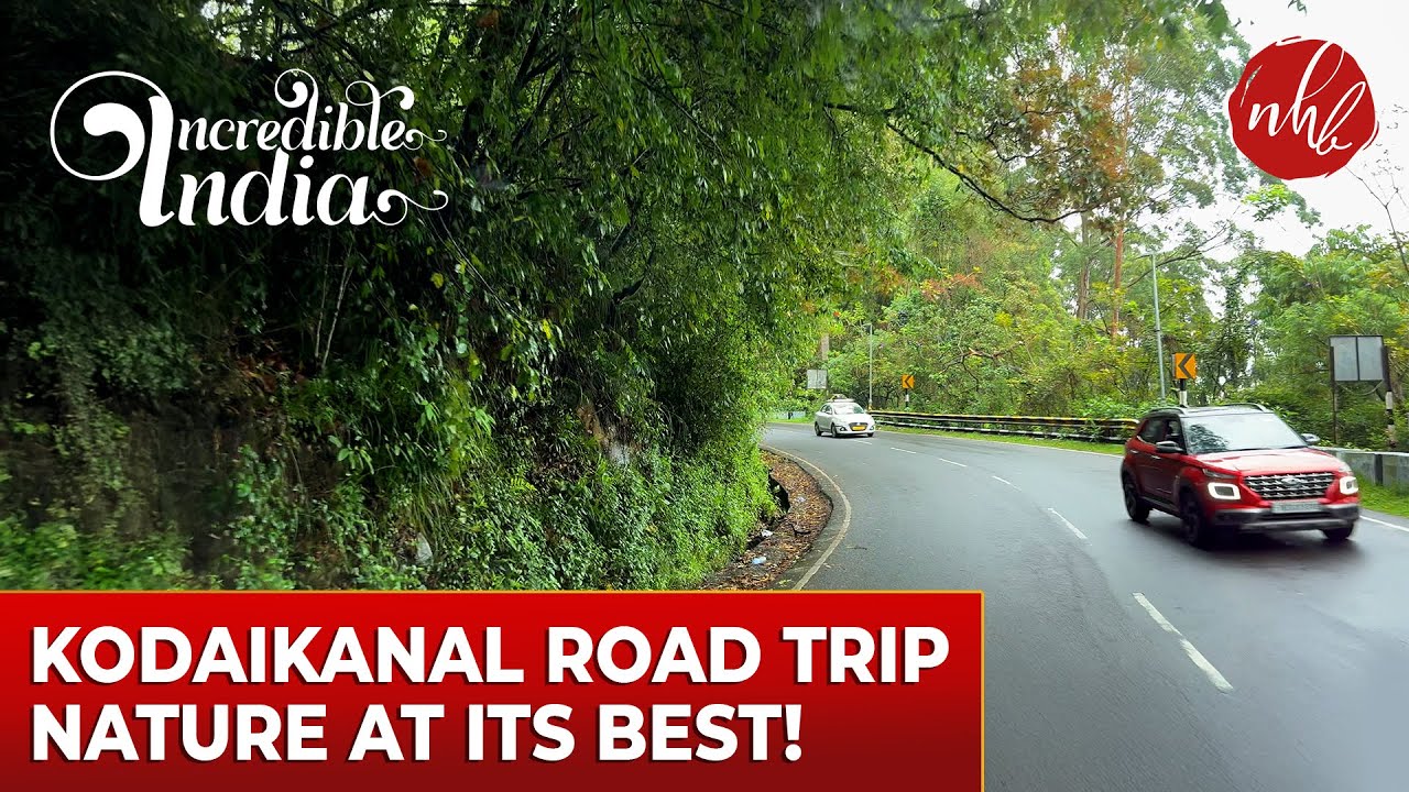 Kodaikanal Road Trip from Palani | Stunning Mountain Roads, Scenic ...
