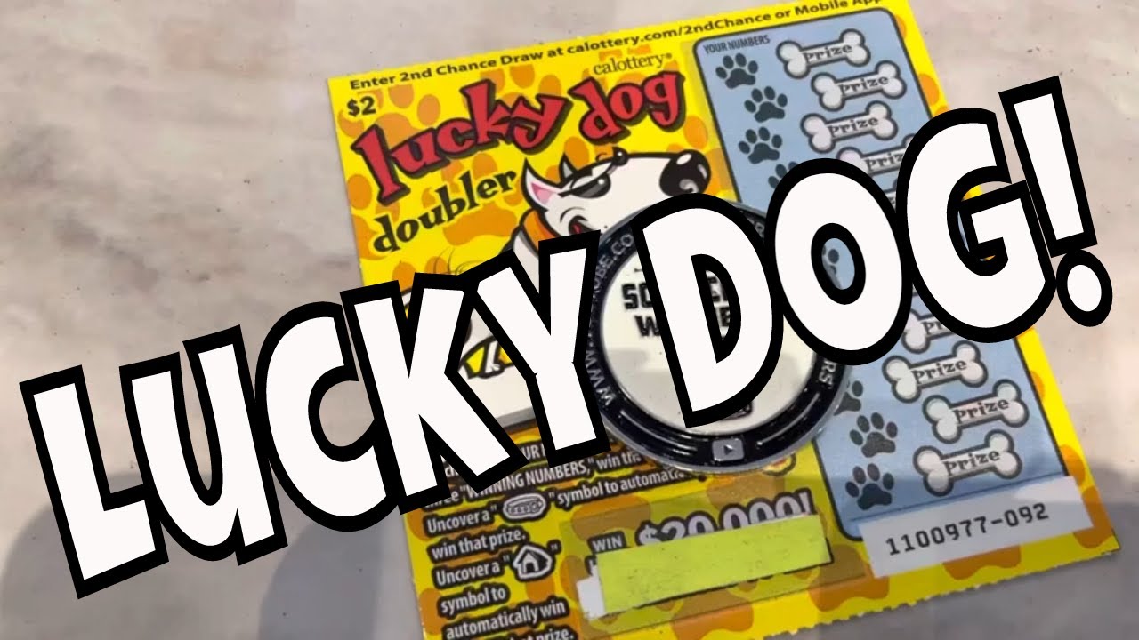 🐾 Lucky Dog Doubler CA Lottery Scratcher - YouTube