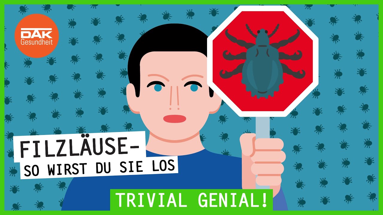 Filzläuse – So wirst du sie los | #trivialgenial | DAK-Gesundheit - YouTube