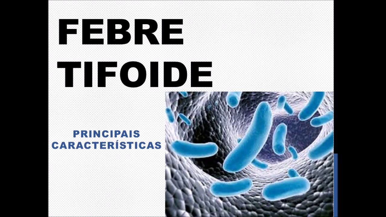 Febre Tifoide - YouTube