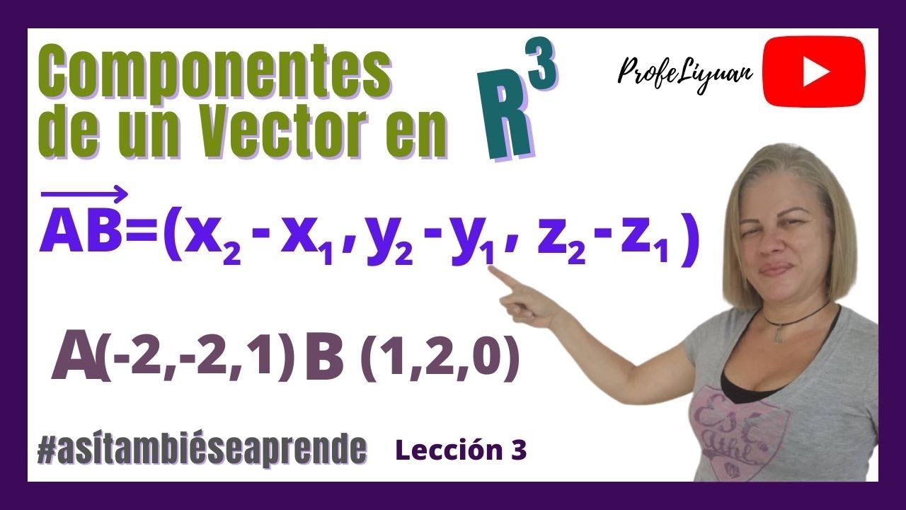 Componentes de un Vector en R3 [Paso a Paso] 🔸 Lección # 3. Ejercicio ...