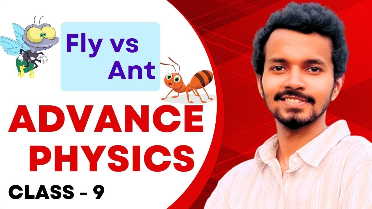 Ant vs Fly | Advance Physics | Class 9 | JEE NEET Foundation - YouTube