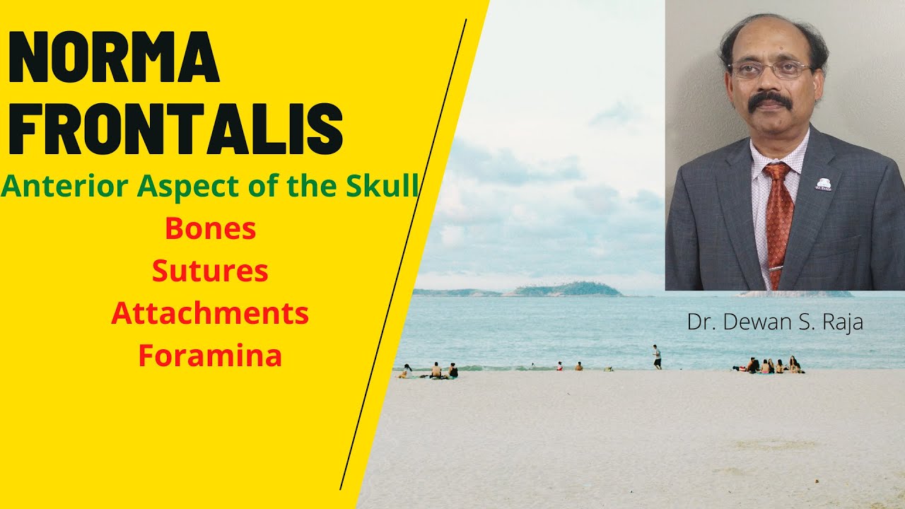 Norma Frontalis (Anterior Aspect of the Skull) - YouTube