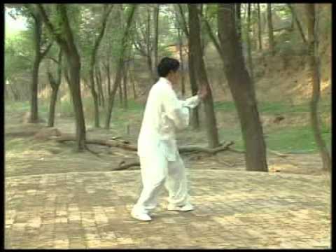 Chen Xiao Xing performing the Xin Jia Yi Lu Taijiquan form - YouTube