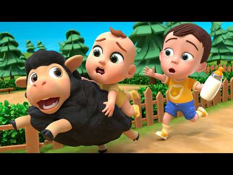 Lagu Domba Hitam + Lebih Lagu Anak Belajar | Lalafun Bahasa Indonesia