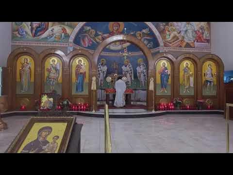 10/27/2024 Orthros&Divine Liturgy 7th Sunday of St.Luke: Memory of Holy Martyr Nestor. - YouTube