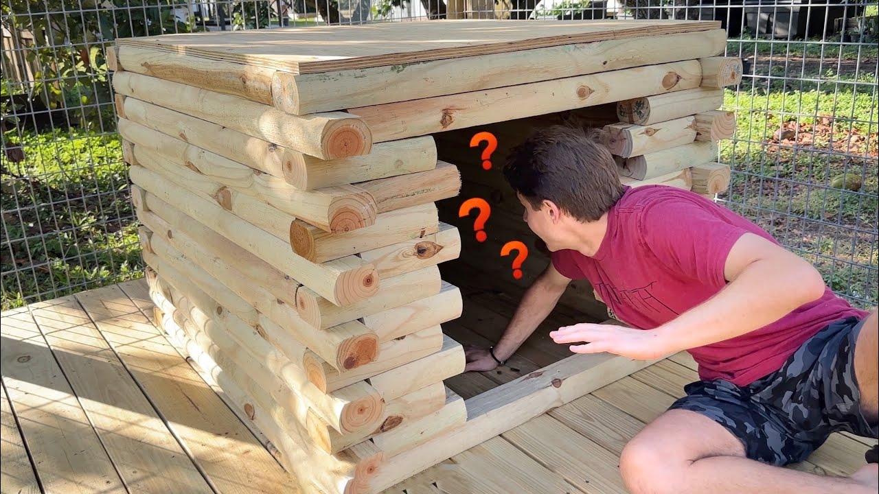 WHAT CREATURE IS LIVING IN THIS HOUSE ?! - YouTube