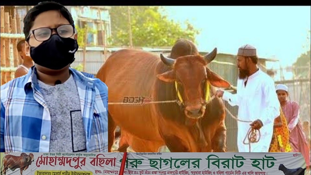 bosila gorur haat - YouTube