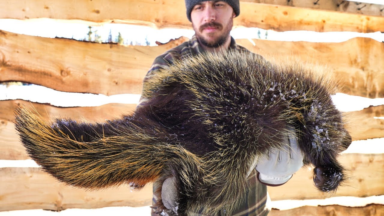Campfire Porcupine | Outdoor Cooking on Himalayan Salt Block - YouTube