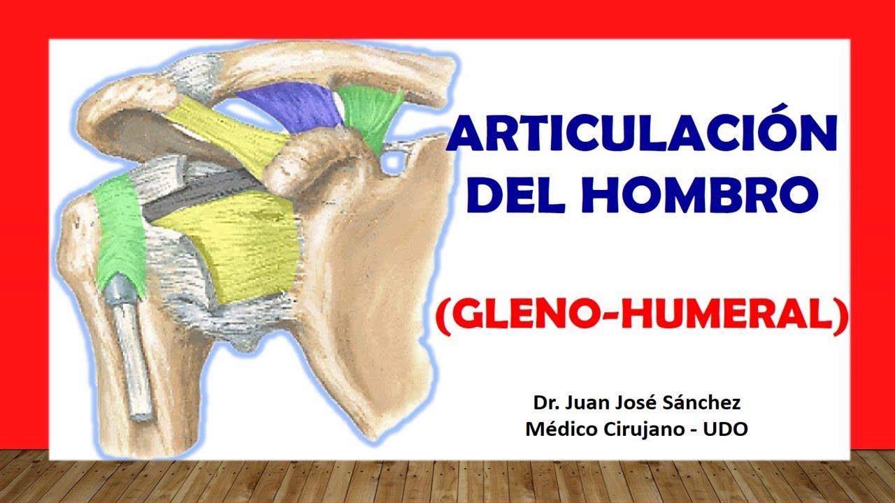 🥇 ARTICULACIÓN DEL HOMBRO, (Glenohumeral). Fácil, Rápida y Sencilla ...