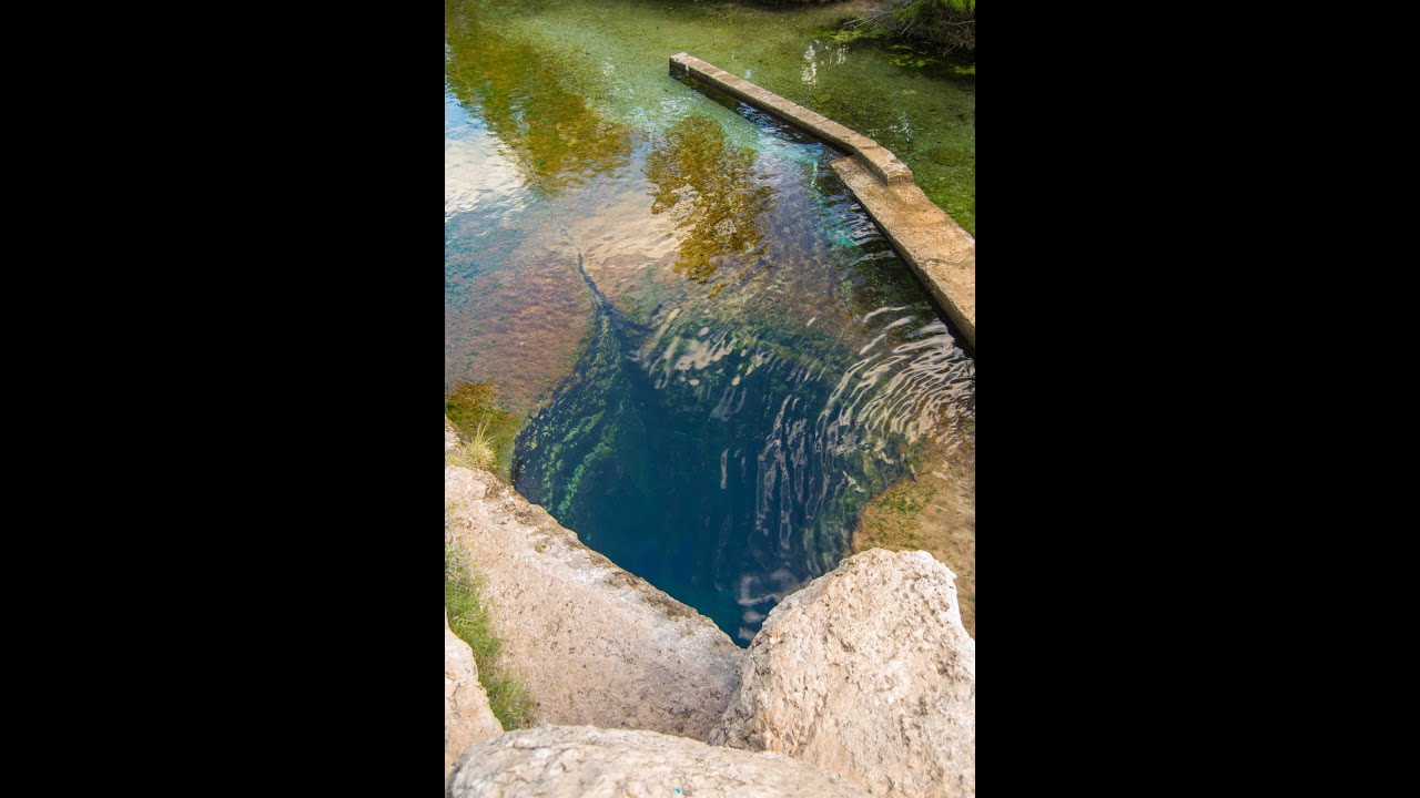 Shabbat August 18, 2024 Brian Malinowski Torah Portion - YouTube