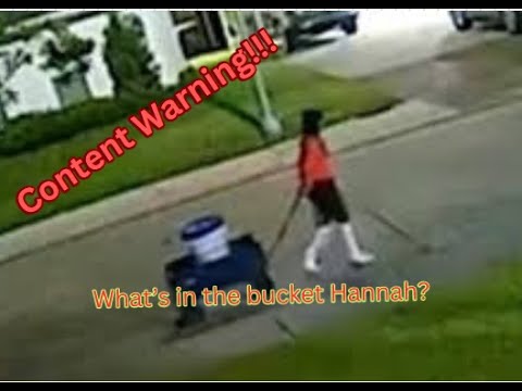 Dad's Girlfriend Ends Life Of His 5 Year Old: Bella Fontanelle Case ...