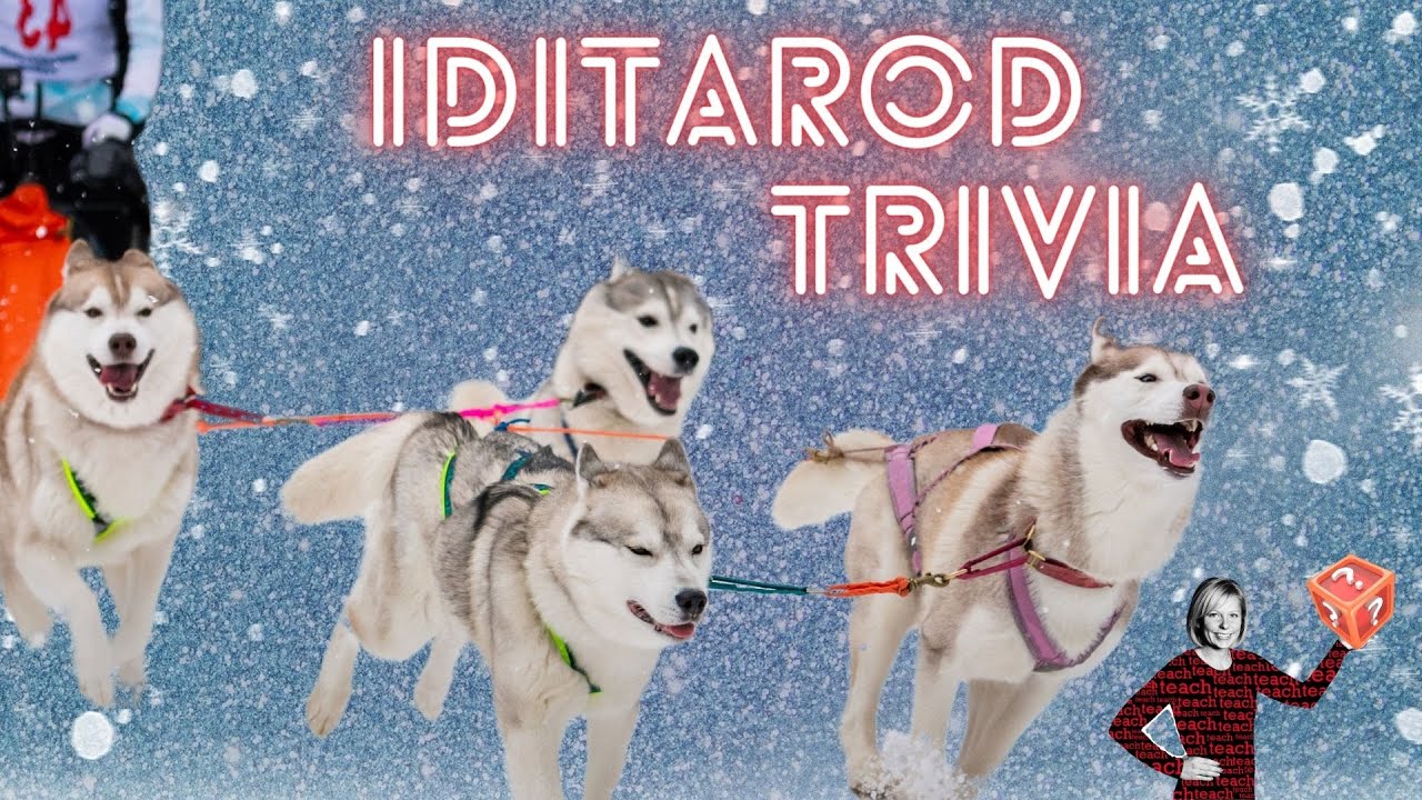 Iditarod Trivia Dog Sled Race Quiz Game for All Ages - YouTube