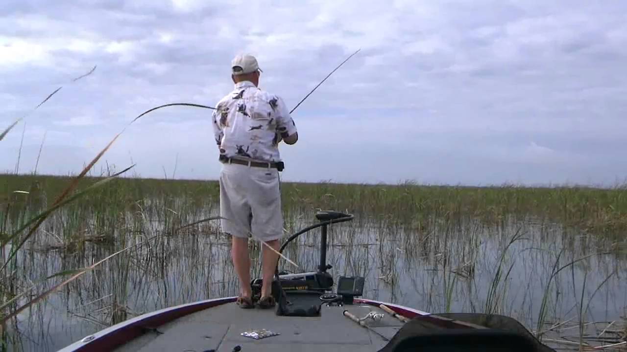 It's a cow!!! Big Bass - YouTube