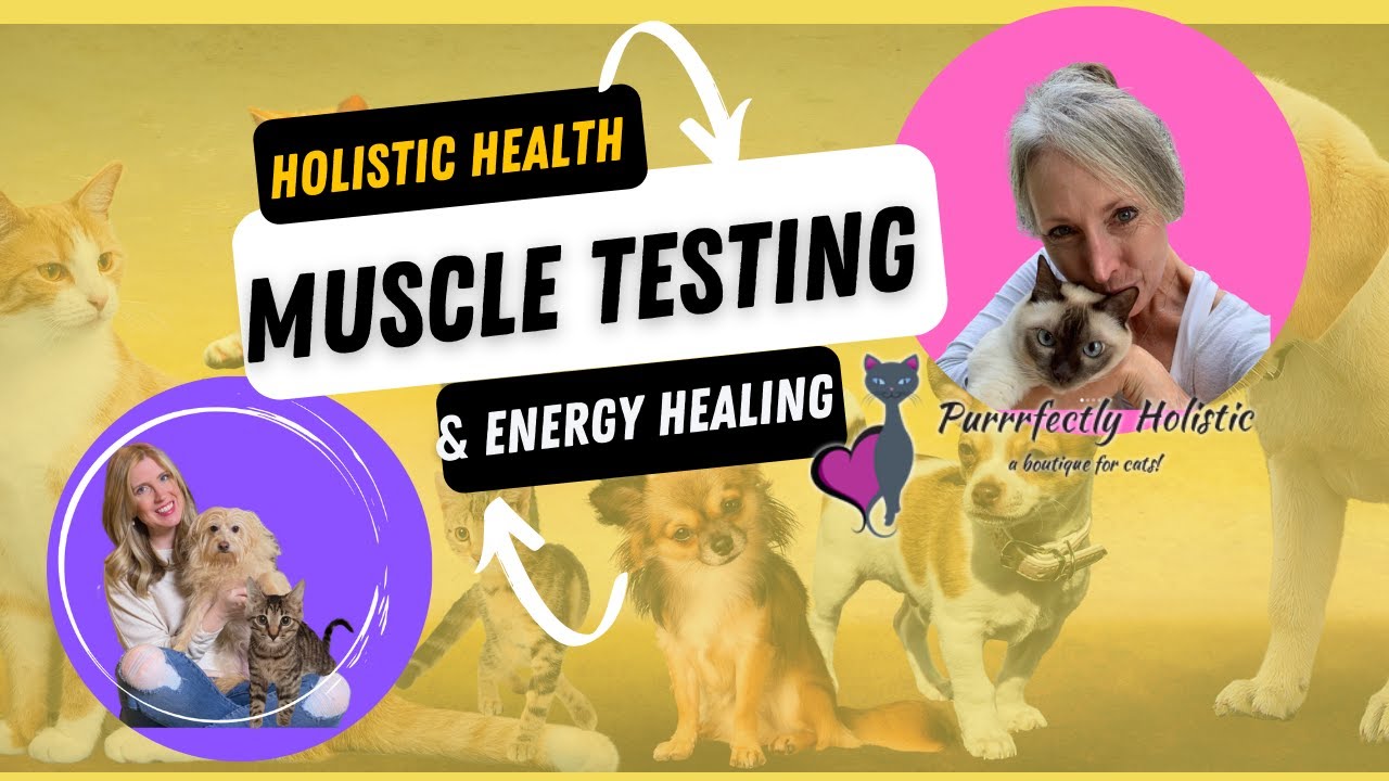 Muscle Testing & Energy Healing For Pets with Pam Roussell of ...