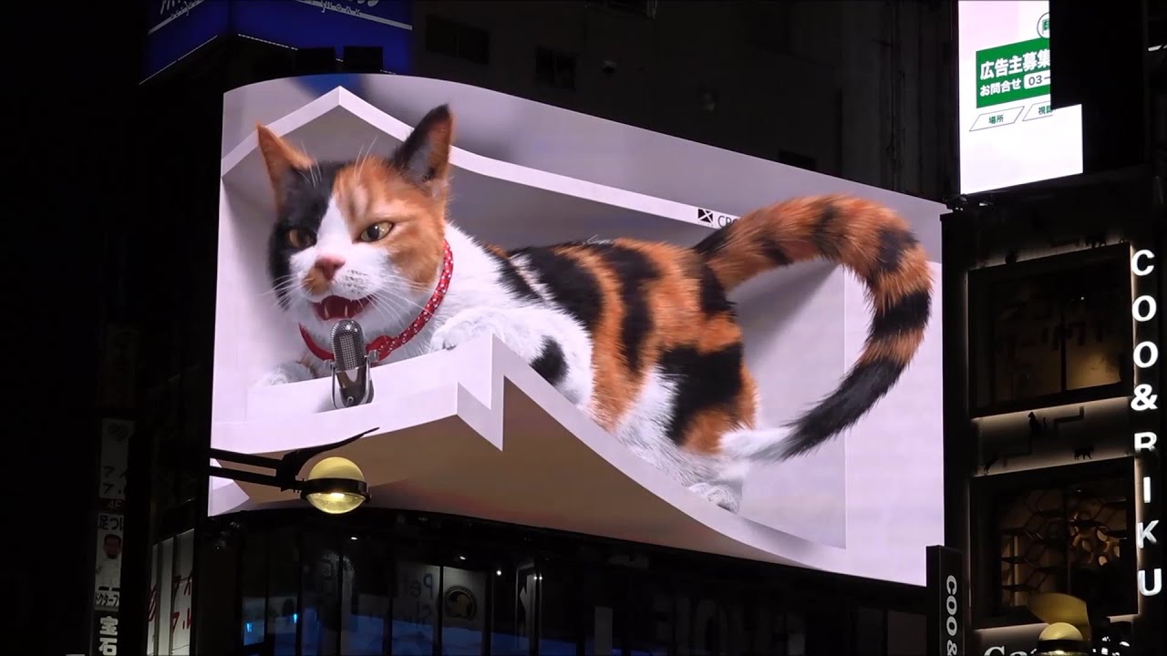 GIANT 3D CAT compilation - Shinjuku, Tokyo, Japan - YouTube