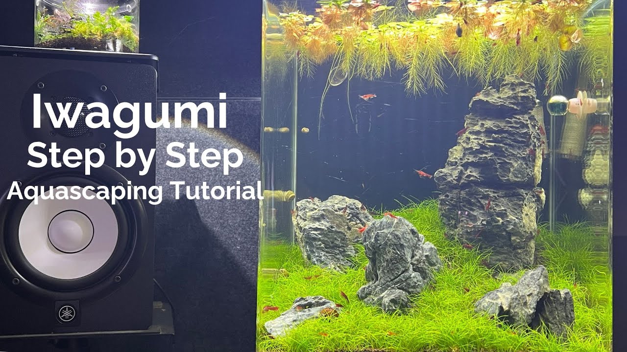 Iwagumi Aquascape gestalten - Aquascaping Tutorial - nano cube Iwagumi simple layout - YouTube