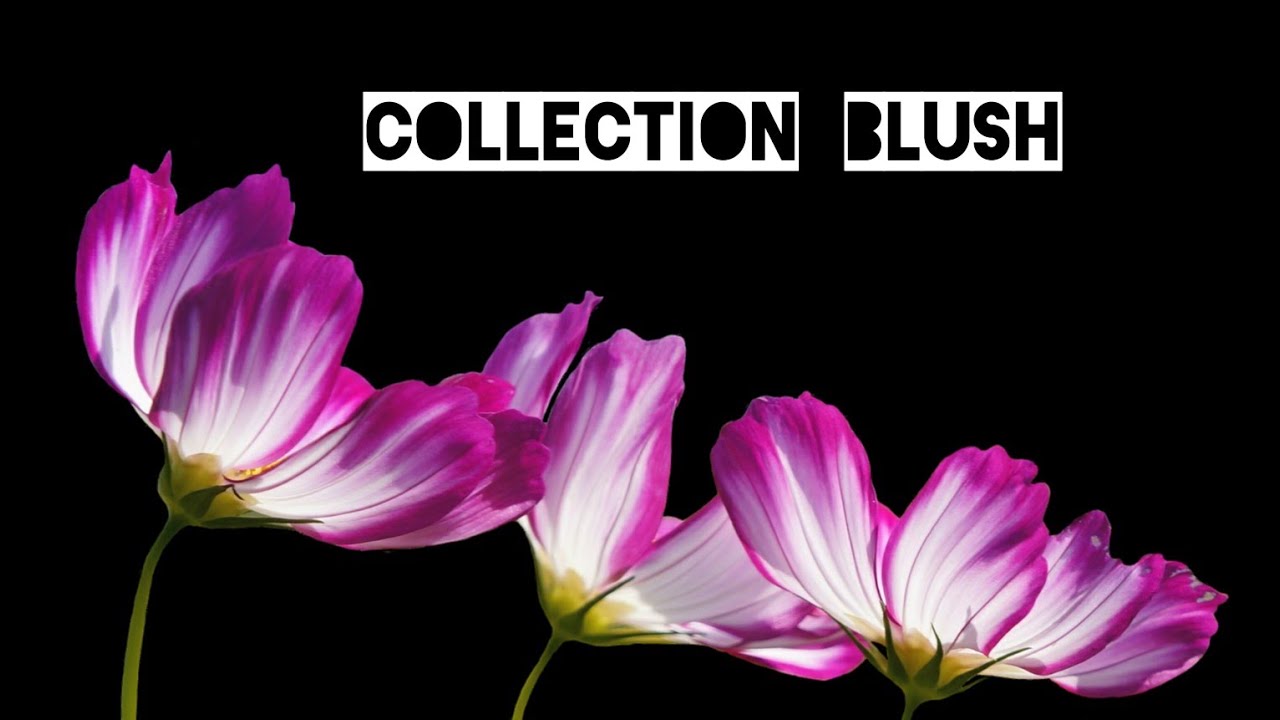 Collection : blush mono + swatch - YouTube