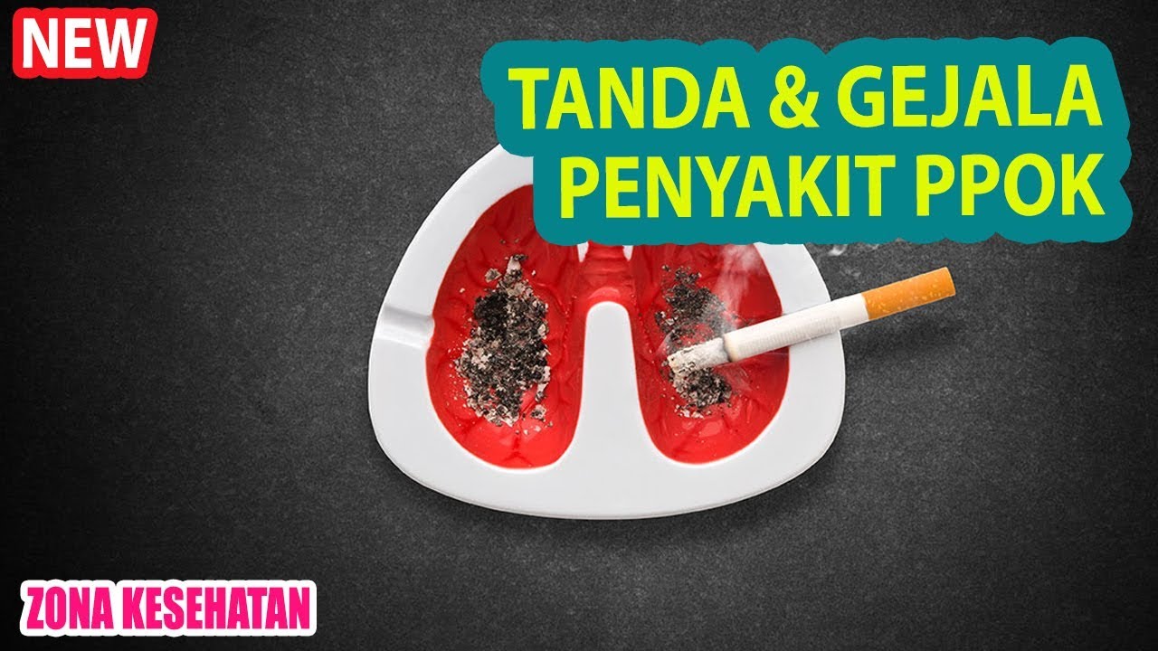 WASPADA!! Inilah TANDA & GEJALA PENYAKIT PARU OBSTRUKTIF KRONIS ( PPOK ...