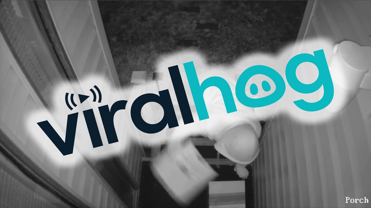 Box Rigged for Package Thief || ViralHog - YouTube