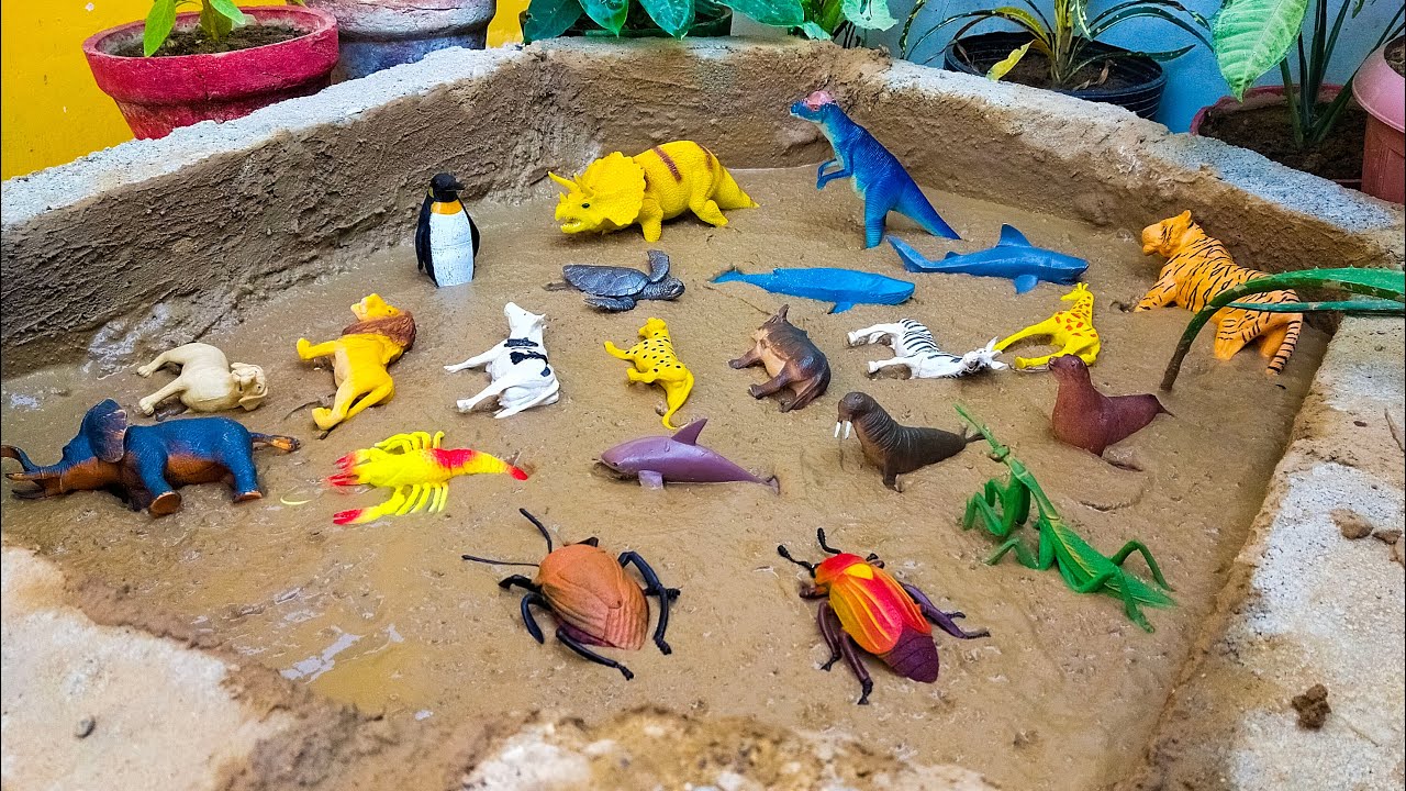 Plastic Toy Sea Animals Farm Animals Dinosaurs Stuck in the Sandbox ...