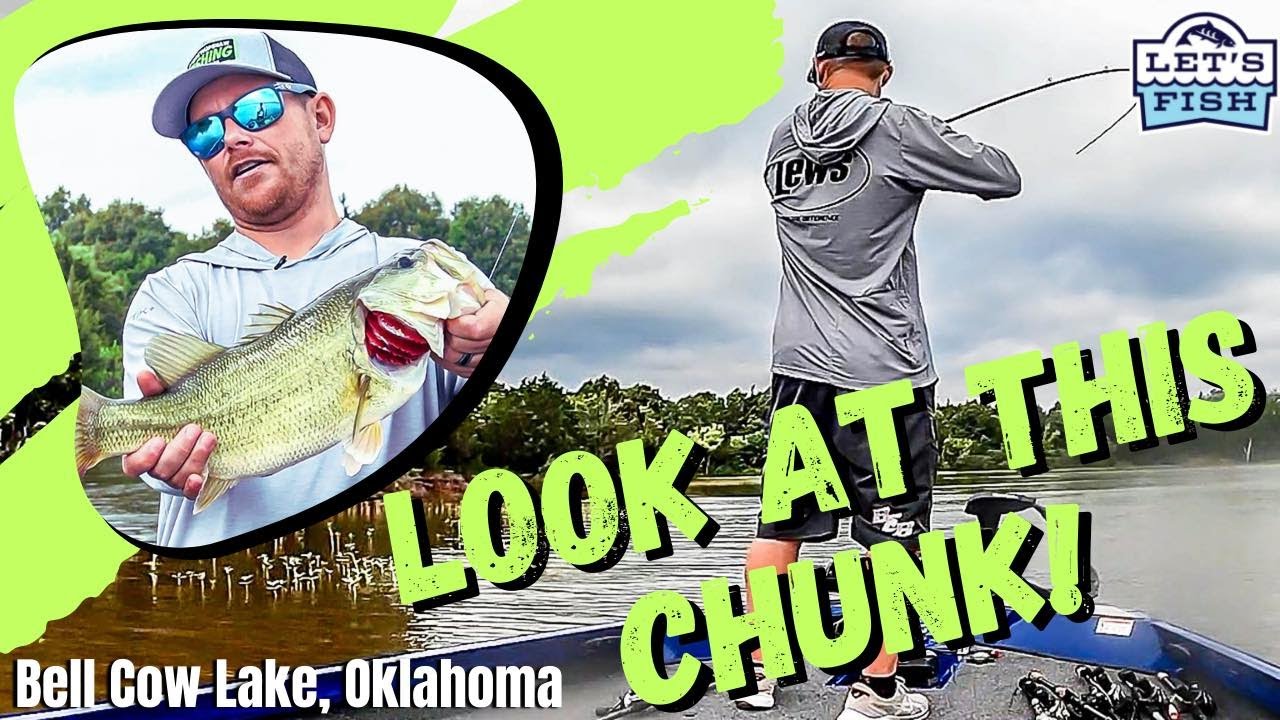 CHECK OUT THESE CHUNKS AT BELL COW LAKE! Let's Fish #19-2021 SouthEAST ...