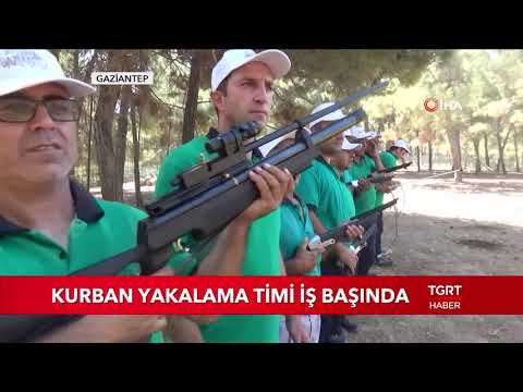 Kurban Yakalama Timi İş Başında
