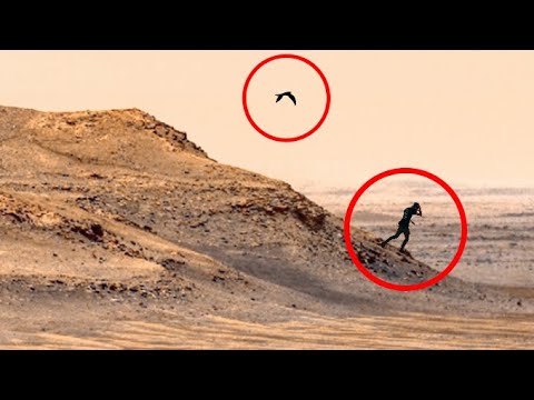 Mars New Images Captured by Mars Rover | Mars Latest Images Released by ...