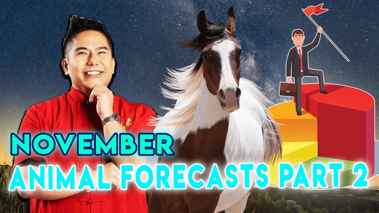 NOVEMBER ANIMAL FORECASTS part 2 by Feng Shui Master Hanz Cua - YouTube