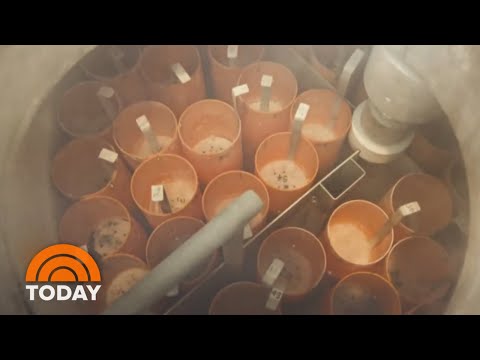 How Many Embryos Are Discarded Or Frozen Ivf