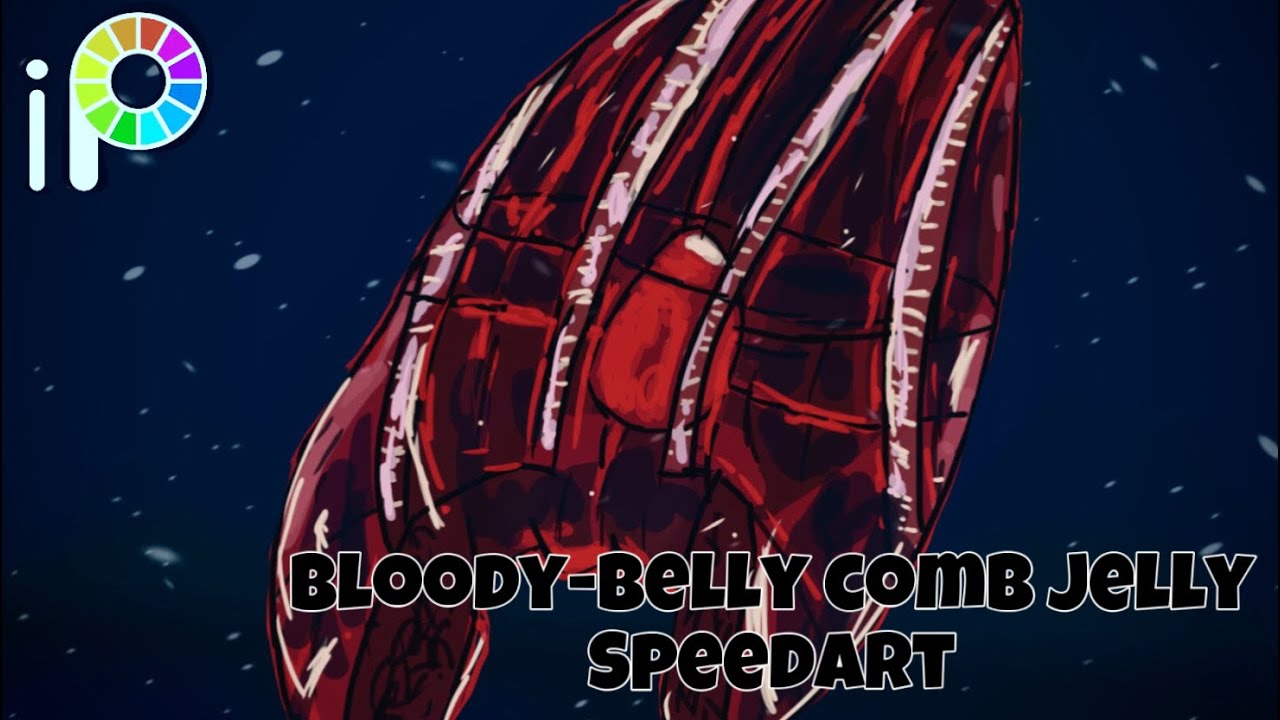 Bloody-belly comb jelly speedart - YouTube