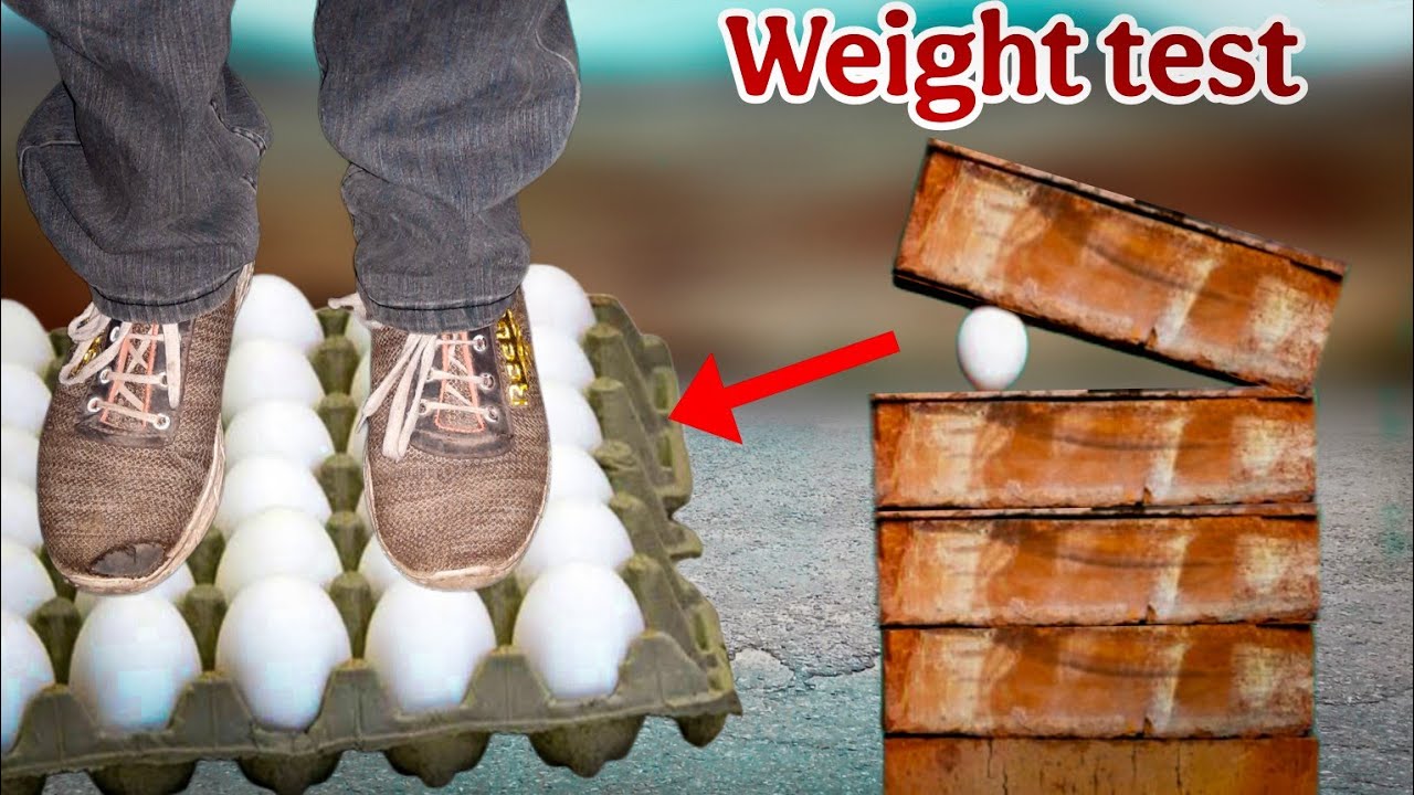 egg weight experiment - eggs vs bricks world challenge || Future ...