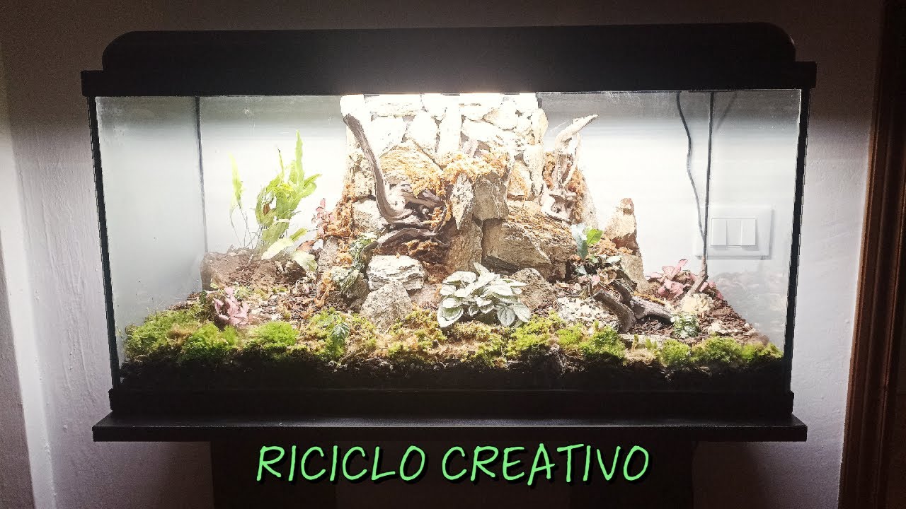 Trasformiamo un ACQUARIO in un TERRARIO - YouTube