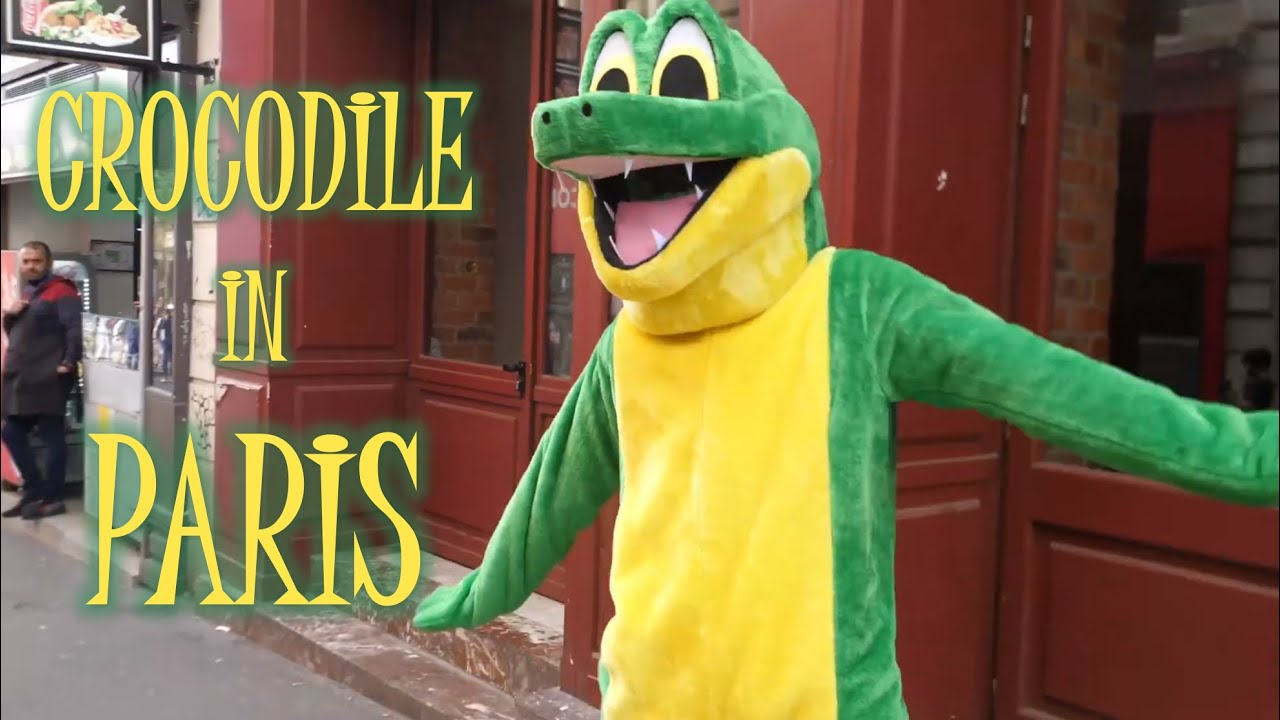 Crocodile in Paris - YouTube