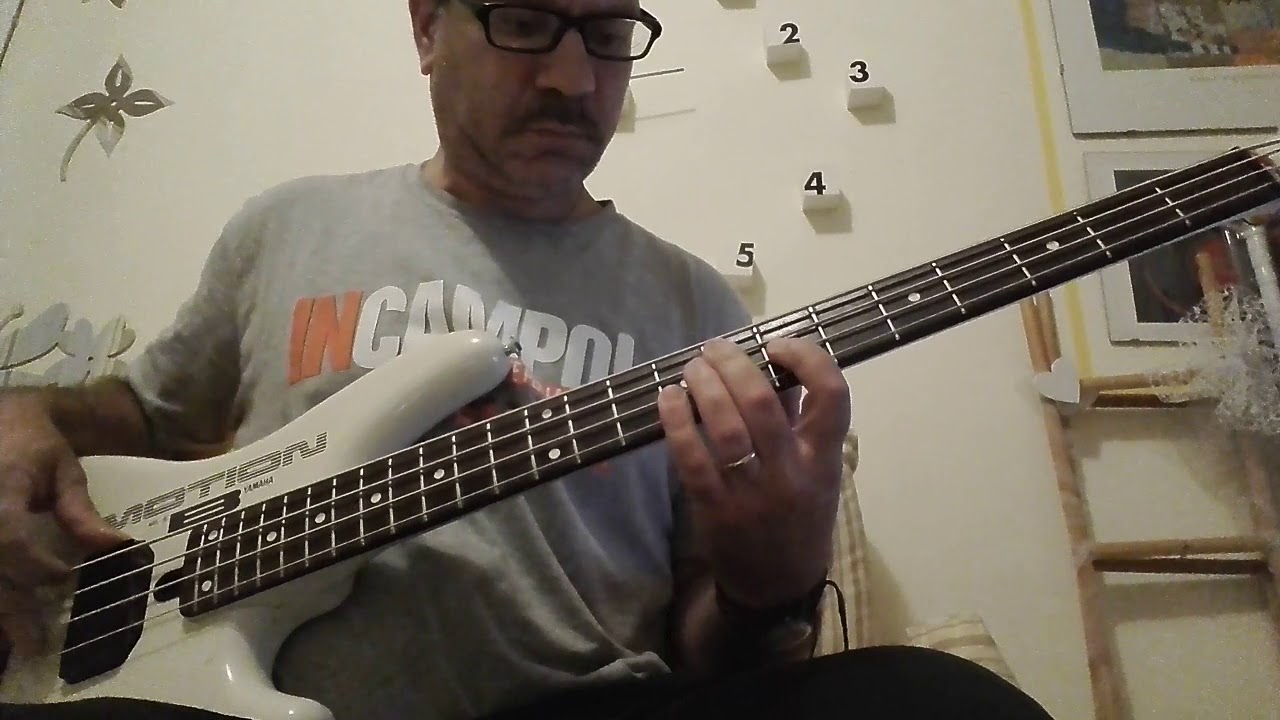 TINTARELLA DI LUNA (Mina) BASS COVER - YouTube