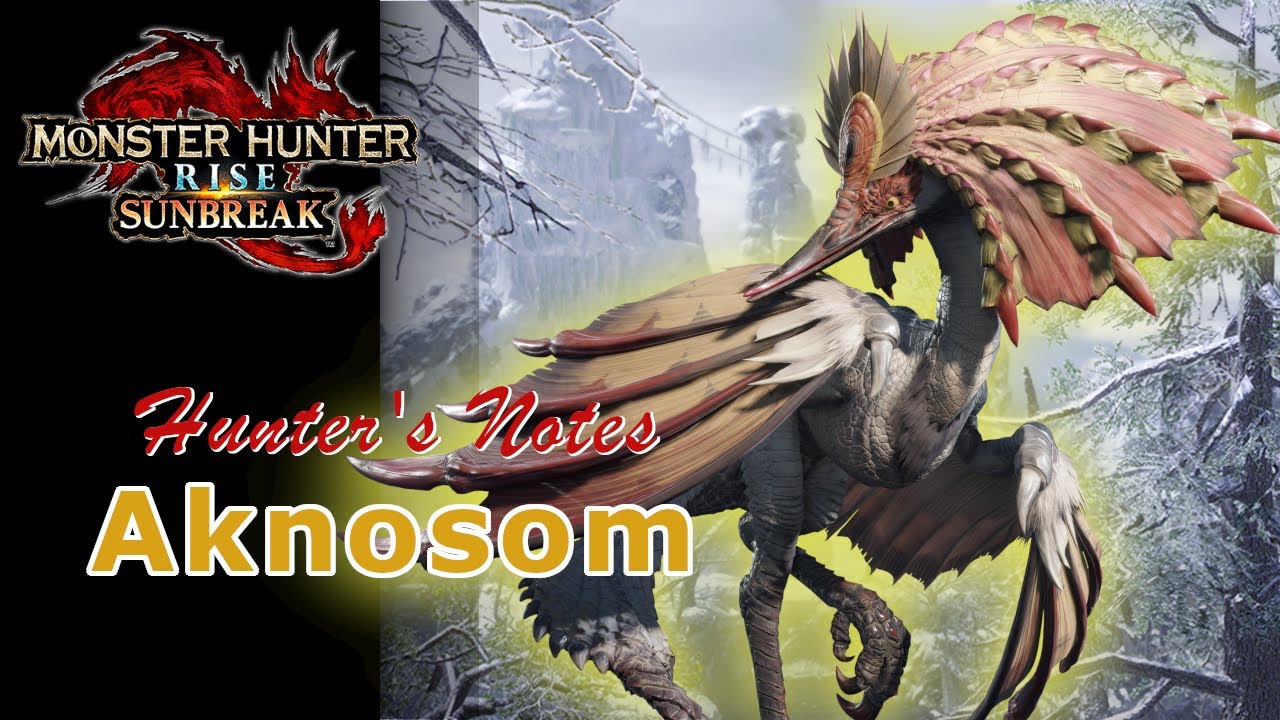 Stranger Bird Aknosom - Monster Hunter Rise Hunter's Notes - YouTube