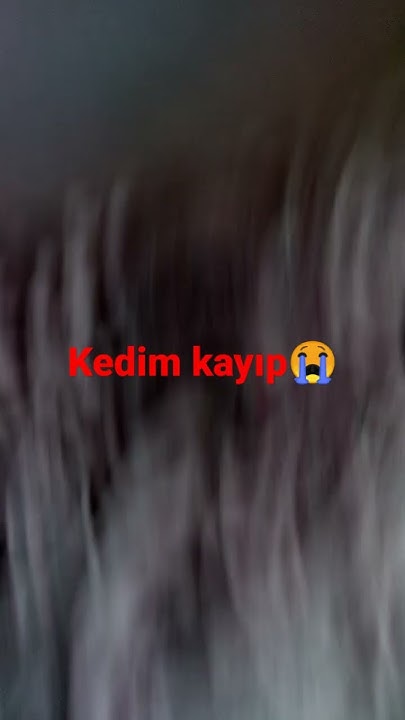 21 Nisan 2023 Youtube