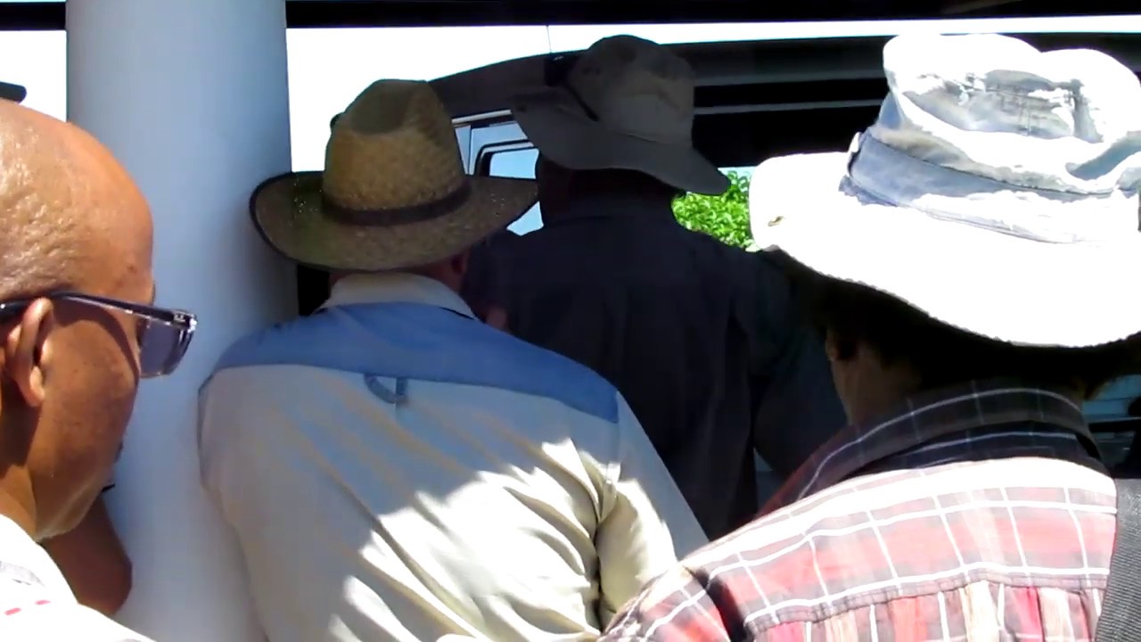 Piet Els: Bestorwe boedelveiling - YouTube