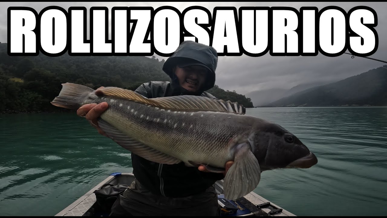 ÉPICA JORNADA de pesca de ROLLIZOS | Sur de Chile - YouTube