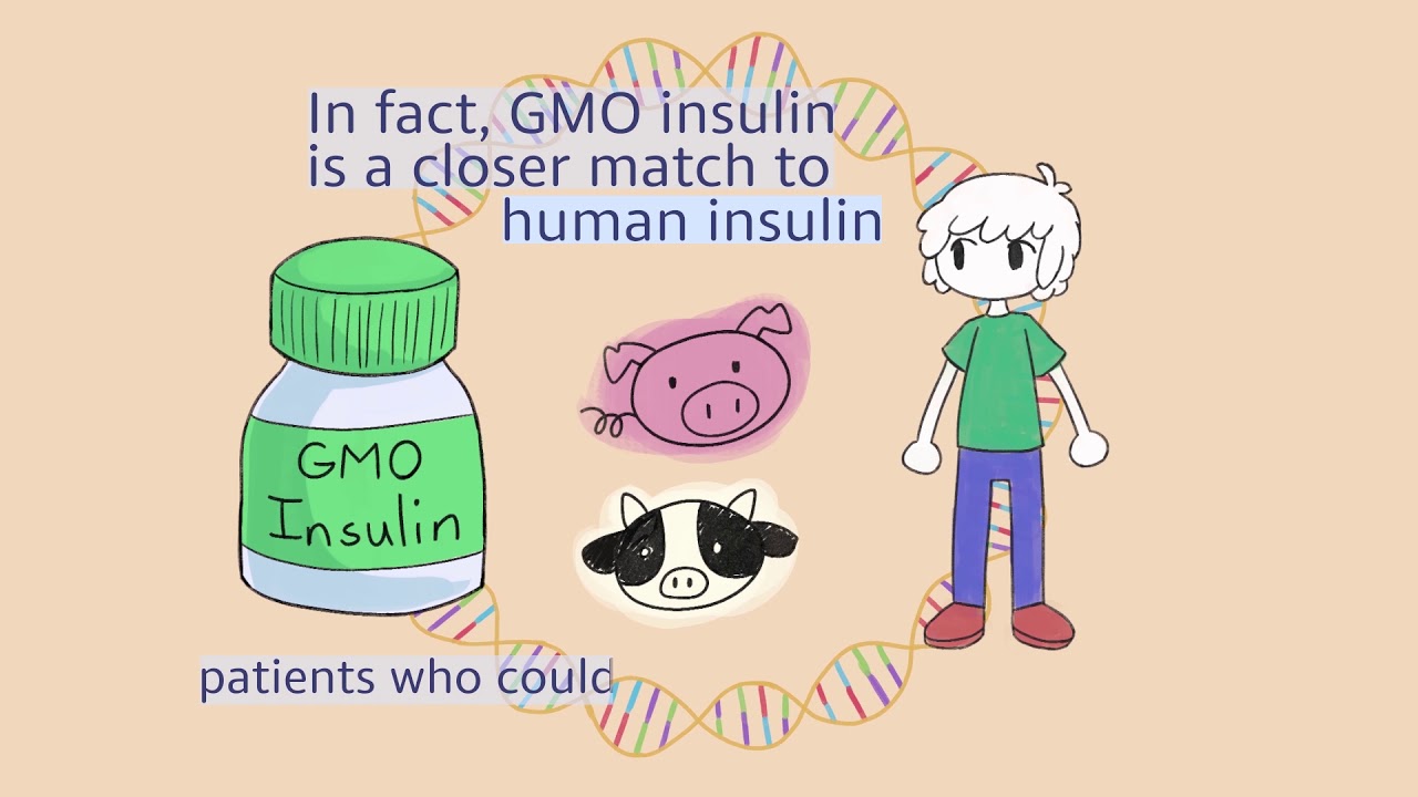 Insulin: A GMO Story - YouTube