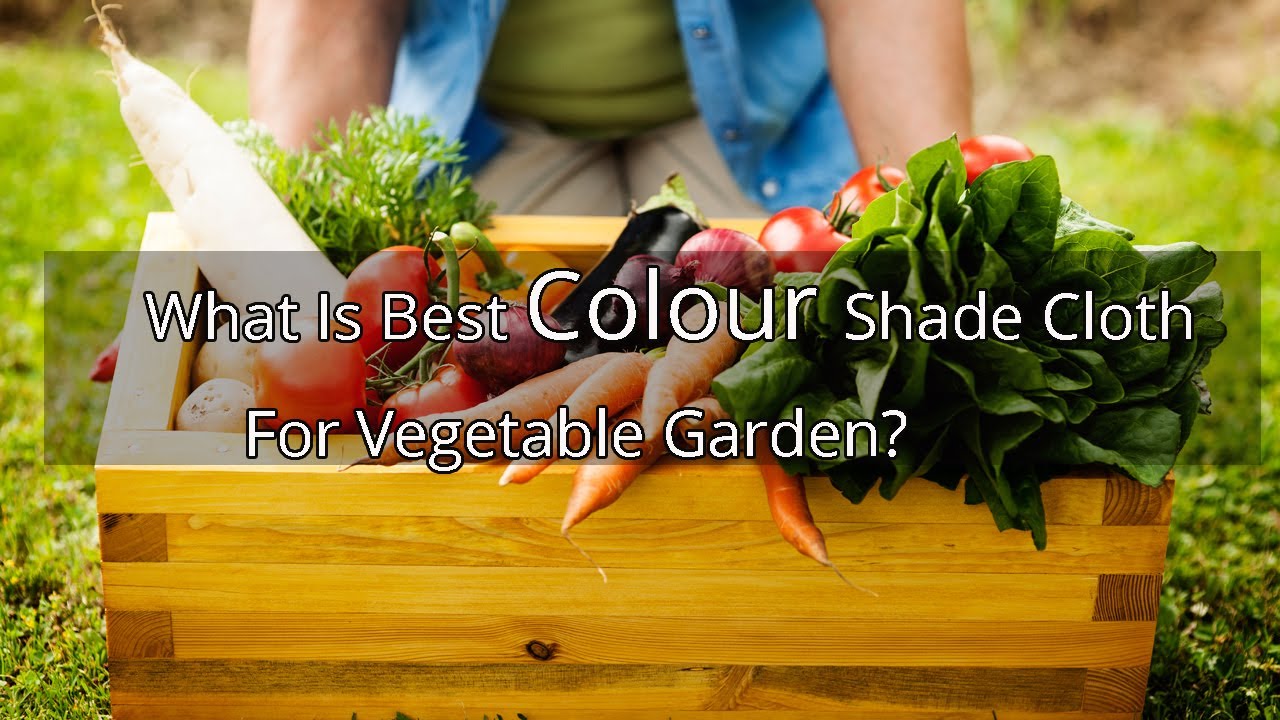 What Is Best Colour Shade Cloth For Vegetable Garden? - YouTube