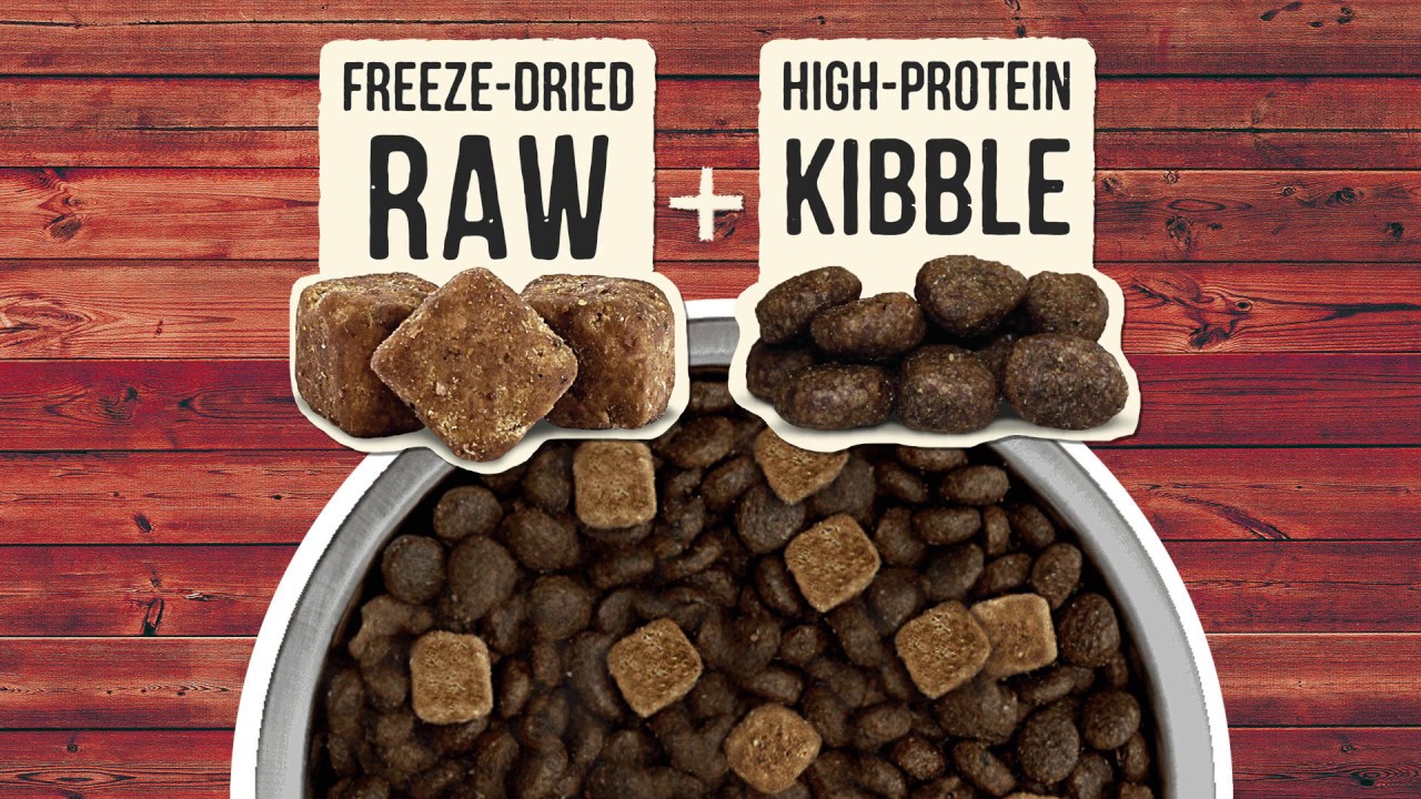 Jake Eberle Voice Actor | Merrick Backcountry '19 - YouTube