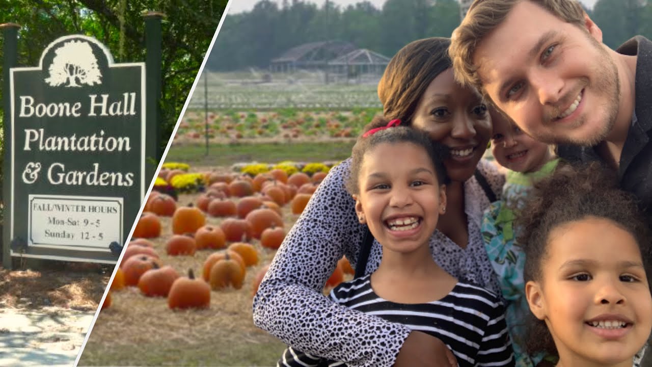 Visiting a Pumpkin Patch at Boone Hall Plantation (in Charleston, SC) 🎃 ...