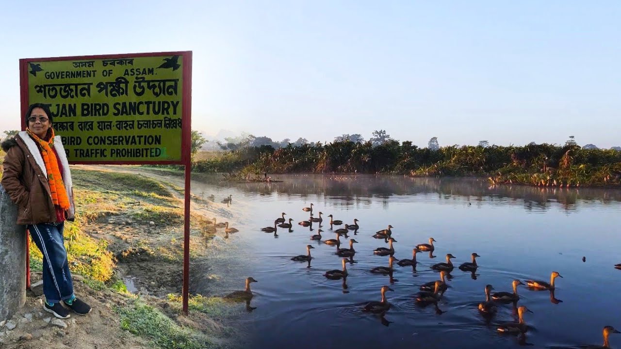 শতজান পক্ষী উদ্যান | Satajan - Bird Sanctuary | আকাশৰপৰা শতজান | North ...
