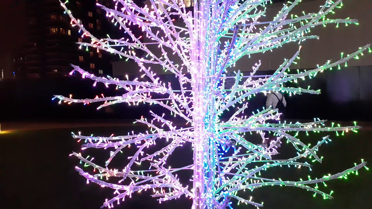 Winter Lights, Canary Wharf London | Sasha Trees - YouTube