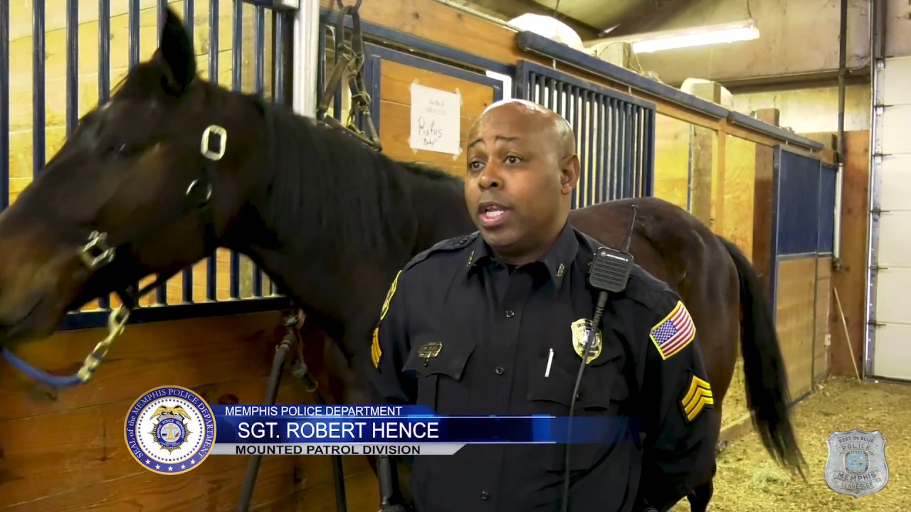 Memphis Police Department Mounted Patrol - YouTube