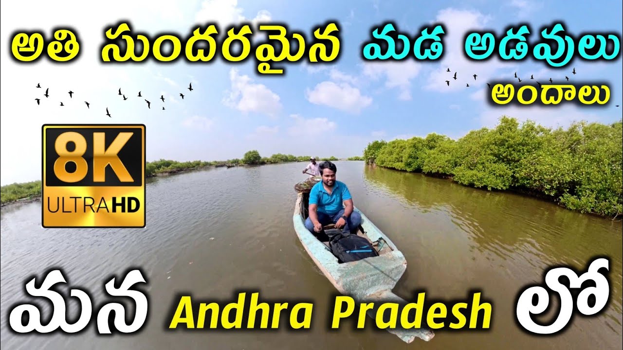 Mada adavulu andhalu in 8k // Machilipatnam mada aduvulu ...